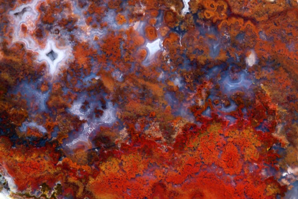 Salt Flats Plume Agate Rough – Rockhounds Anonymous